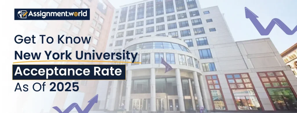 Get To Know NYU Acceptance Rate 2025: Trends & Insights
